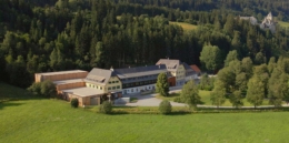 B-COMPLEX - panmol.com